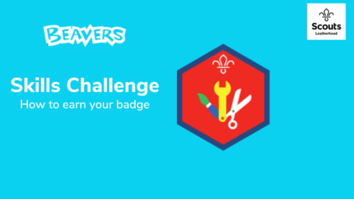 Beavers Skills Challenge | Leatherhead District